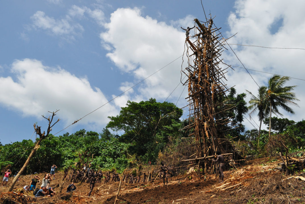 Land Diving in Vanuatu