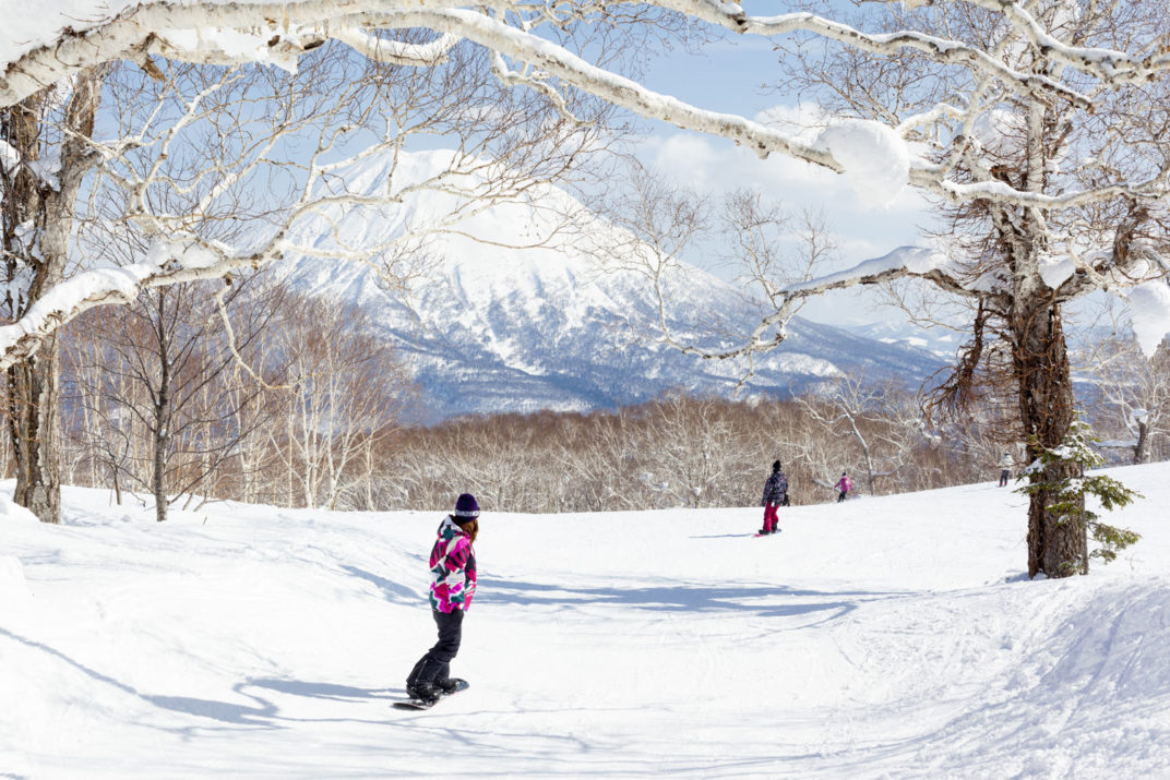 Choosing Where to Ski in Japan