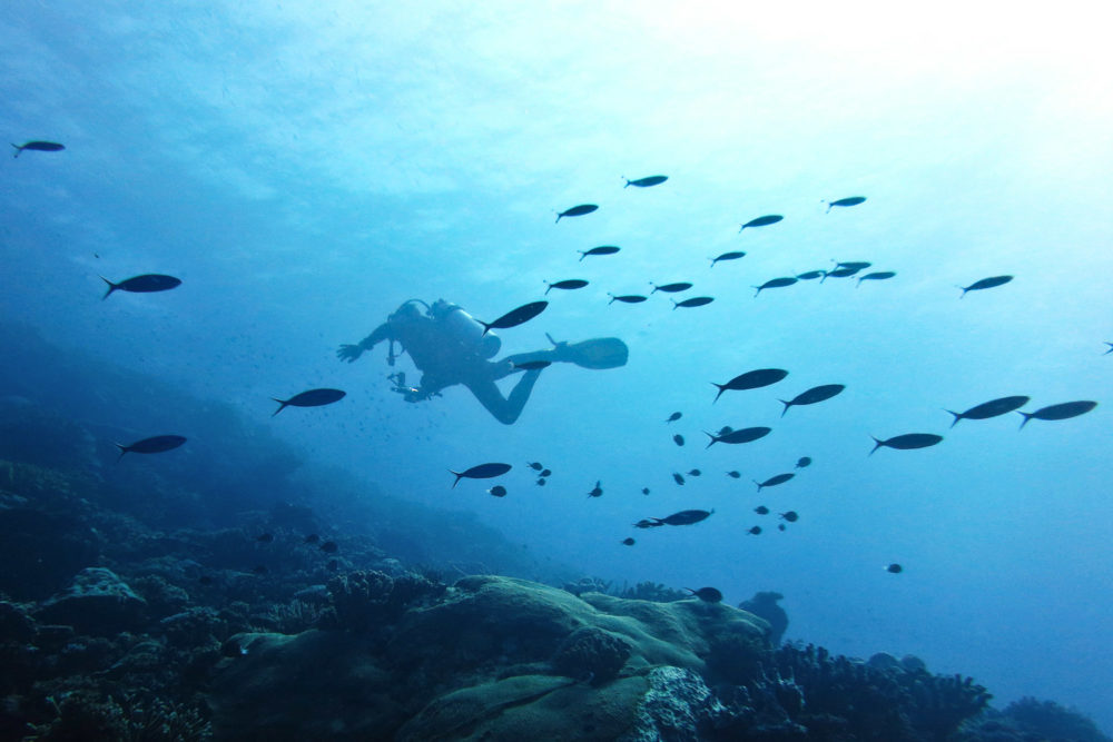 How to prepare for an international scuba diving holiday ...