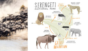Serengeti National Park: 7 must-sees and do's | International Traveller