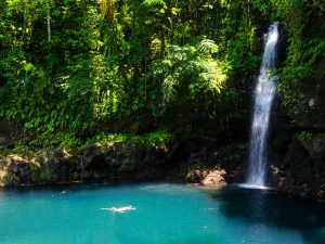 6 Must See Tropical Treasures of Samoa
