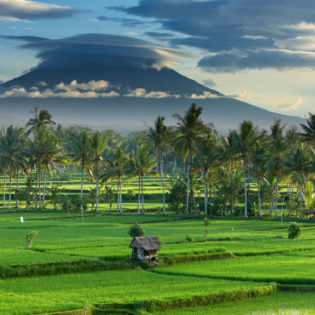 Bali Travel Guide - Everything you need to know | International Traveller