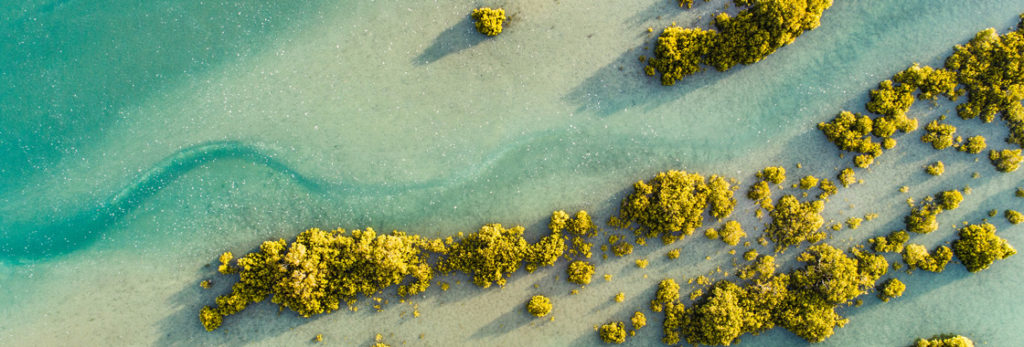 Oceania Travel Guide - Everything you need to know