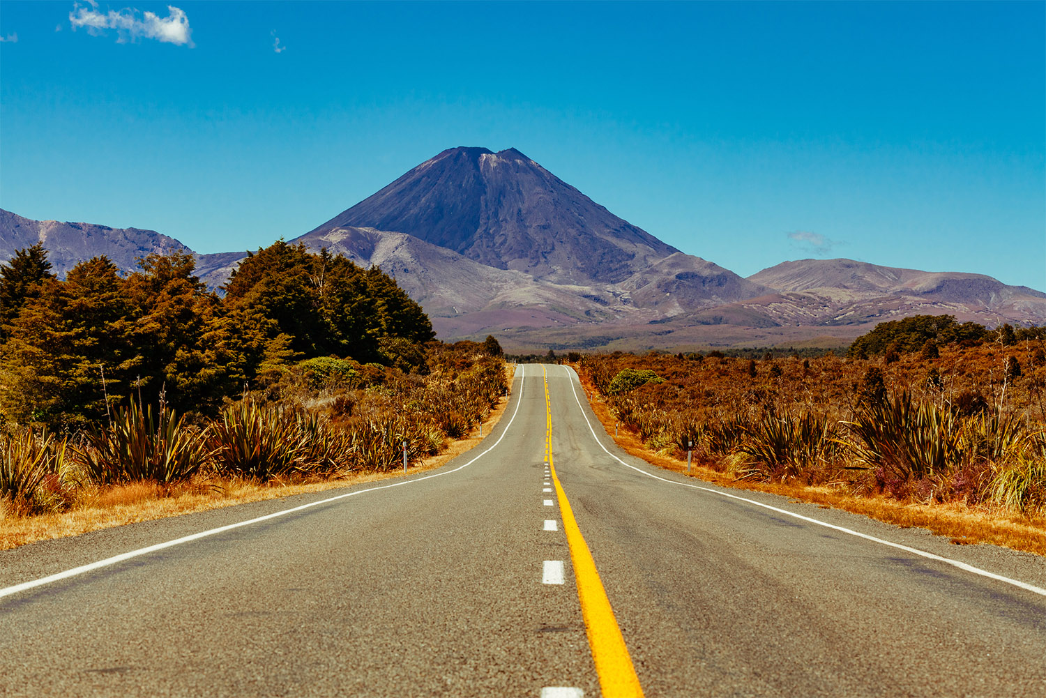 An 8-day Road Trip Through New Zealand’s North Island