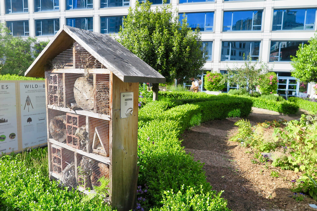 Bee Hotels in British Columbia: a Buzzworthy affair - International ...