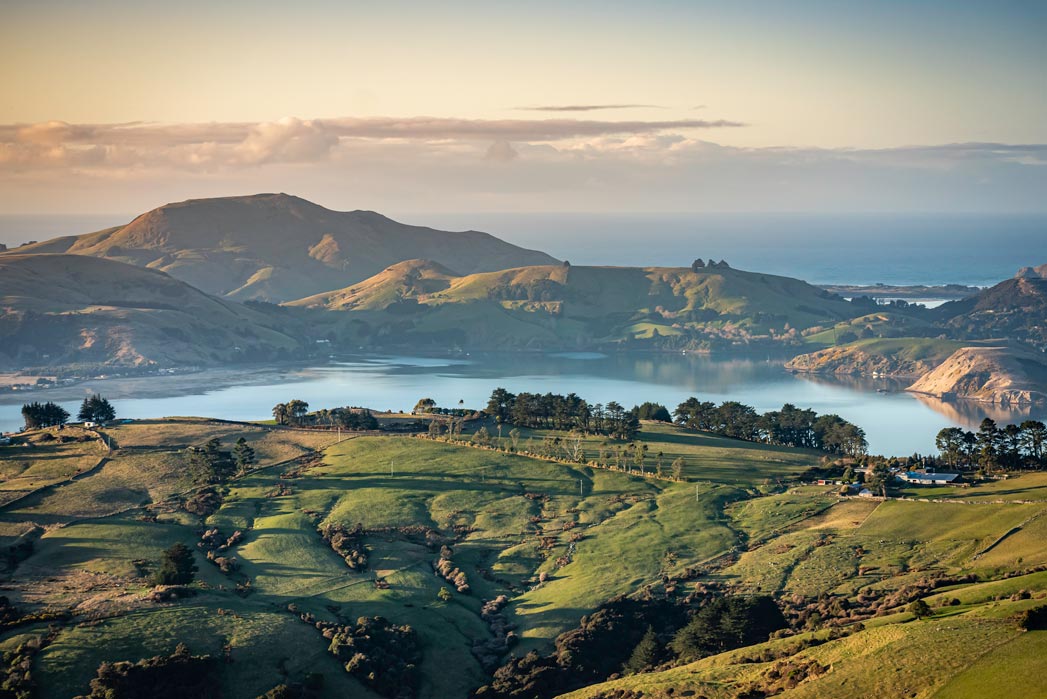 Insider guides to New Zealand - International Traveller