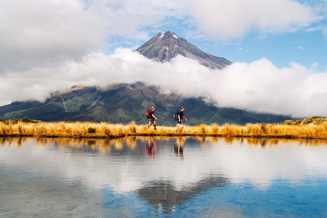 Best Nature Experiences in New Zealand - International Traveller