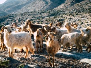 Places to Chase the Sun in the Middle East | International Traveller