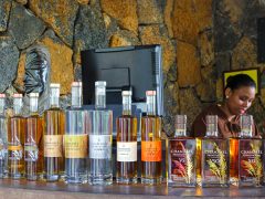 Things To Do In Mauritius You’ve Never Heard Of