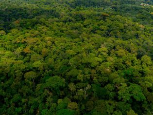 Best Sustainable Tours In Gabon - International Traveller