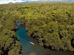 13 Places To Go Wild Swimming In Samoa - International Traveller