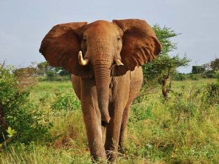 Top 10 Biggest Travel Regrets Revealed | International Traveller