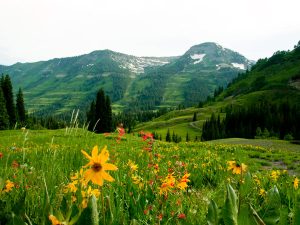 Northern Hemisphere Summer Hotspots - International Traveller