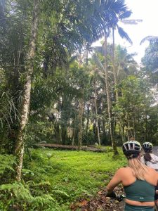 Hotel Profile: COMO Uma Ubud, Bali | International Traveller