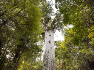 10 Natural Wonders From Around the World | International Traveller