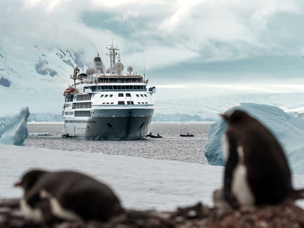Silversea Antarctica: Ultra-luxury Cruising | International Traveller