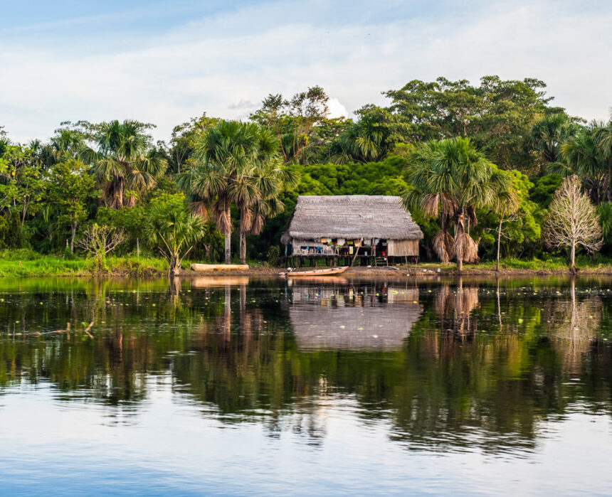 International Traveller - For Modern Explorers