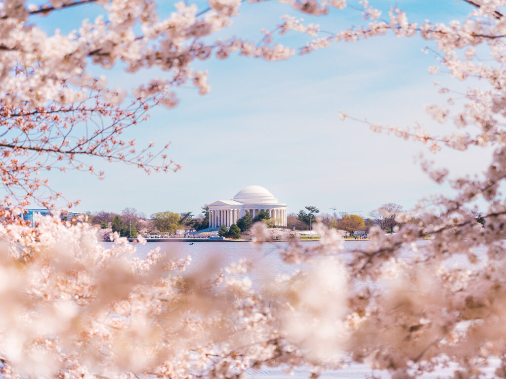 7 amazing reasons to visit Washington, DC