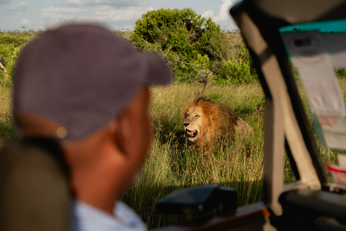 Jeep Por El Lago White Bear The Real Life Safari In Kenya That