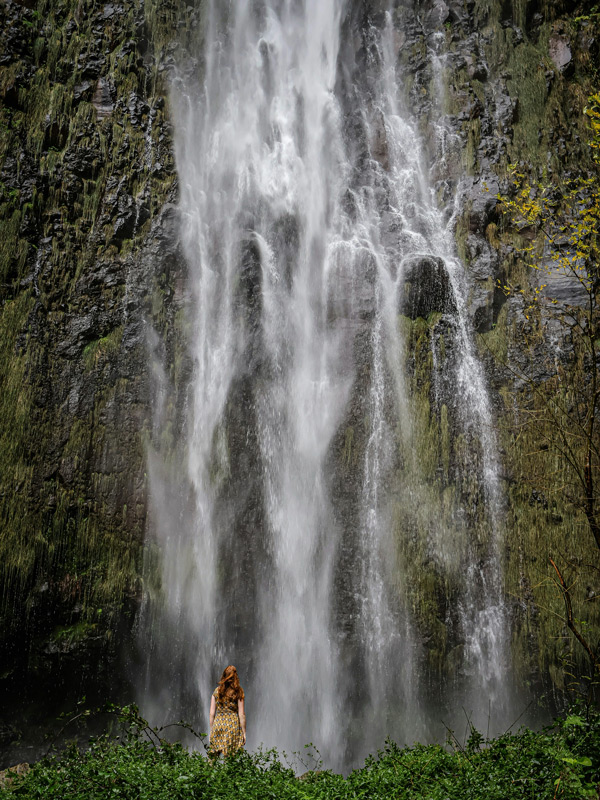 Madeira is Tripadvisor's top trending destination for 2026